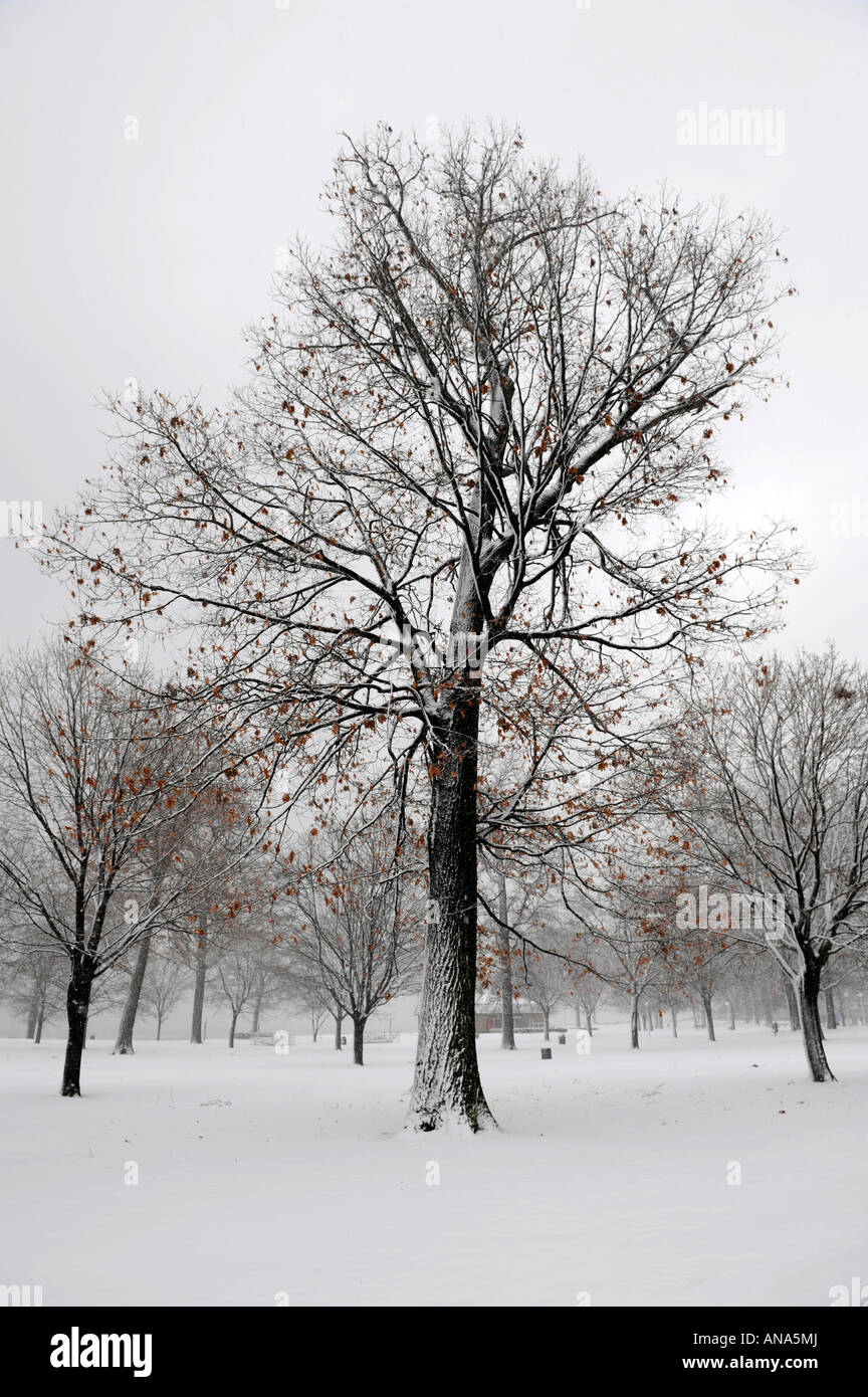 Michigan Winter Scene Stock Photo - Alamy