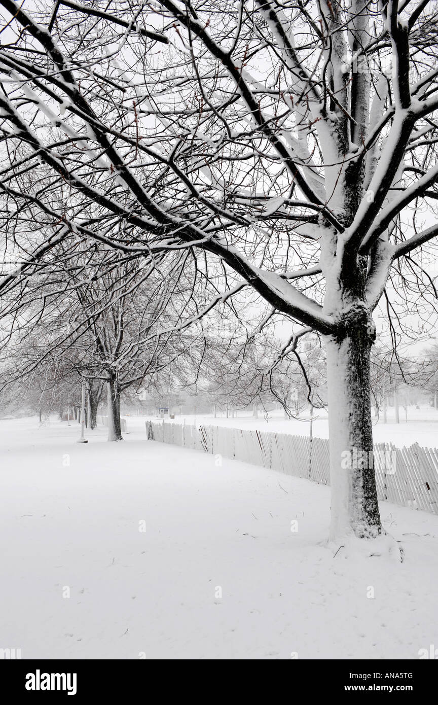 Michigan Winter Scene Stock Photo - Alamy