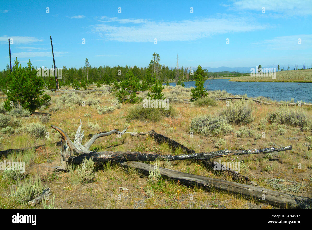 Two Ribbons Nature Trail High Resolution Stock Photography and Images ...