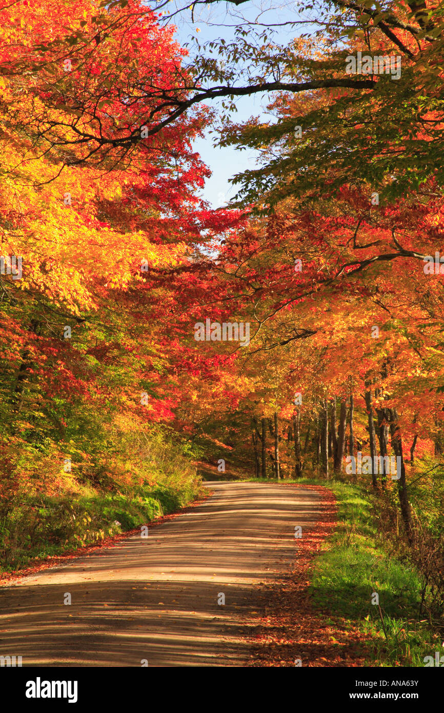 Judy gap west virginia hi-res stock photography and images - Alamy