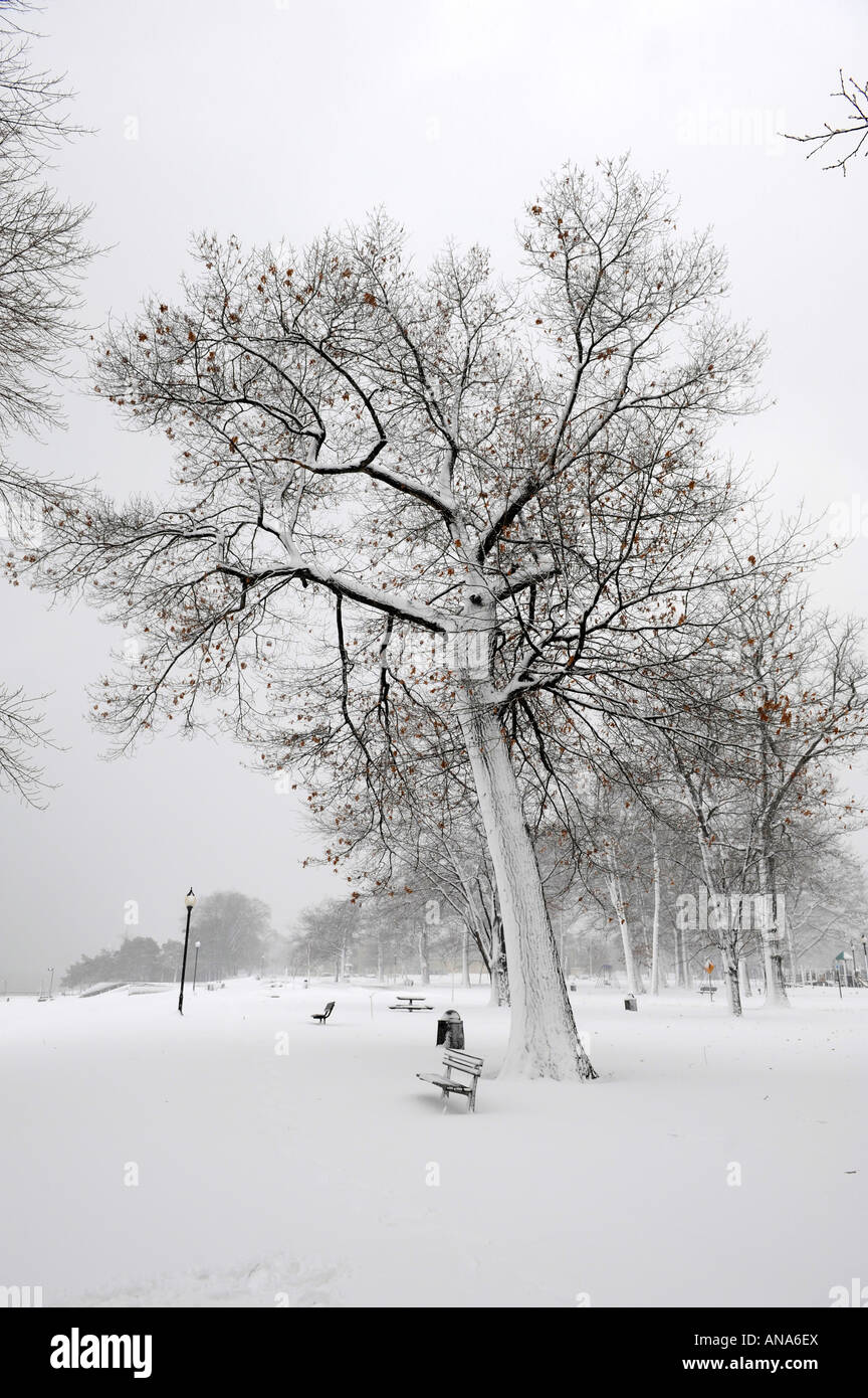 Michigan Winter Scene Stock Photo - Alamy