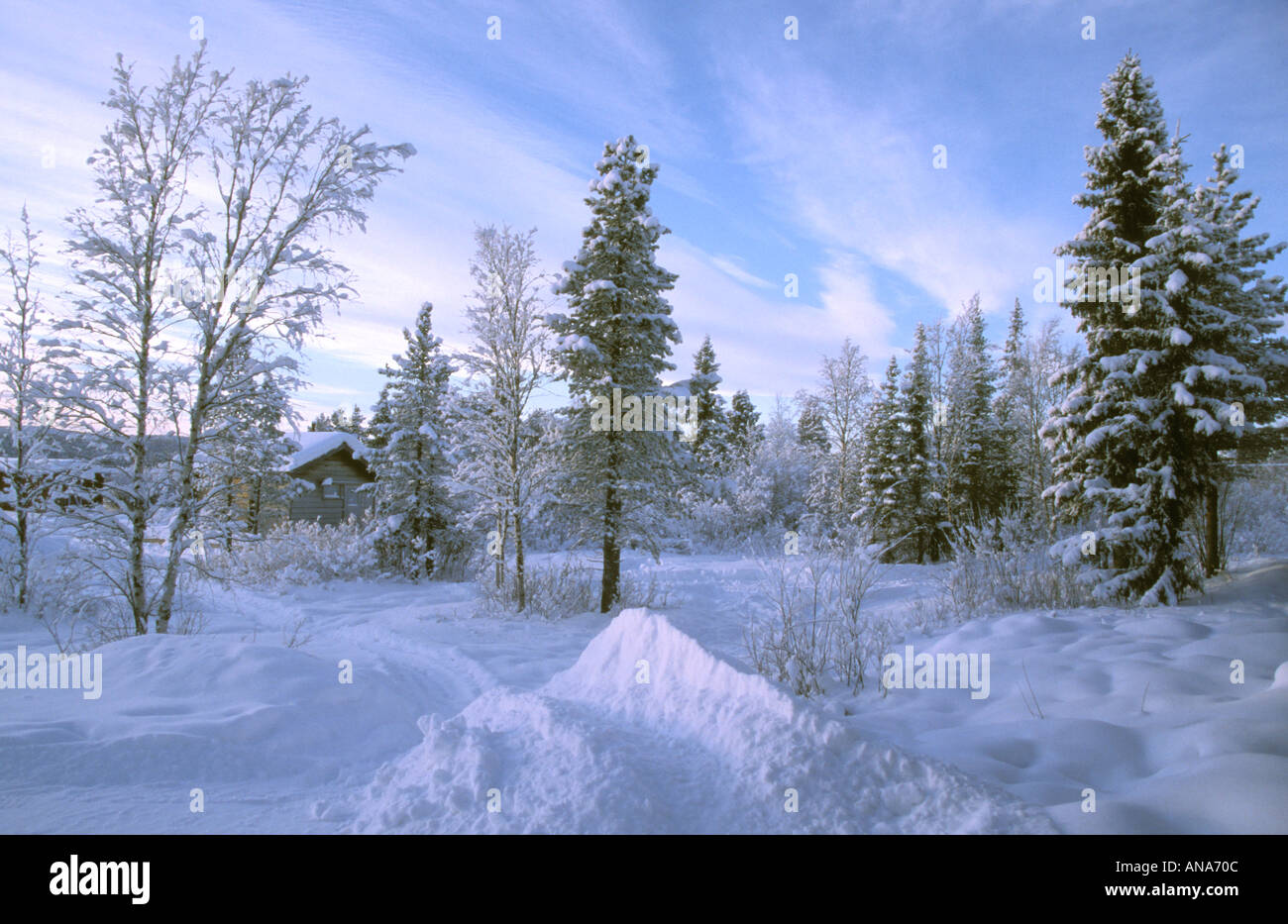 Snow Scene with Cabin Sweden Stock Photo - Alamy