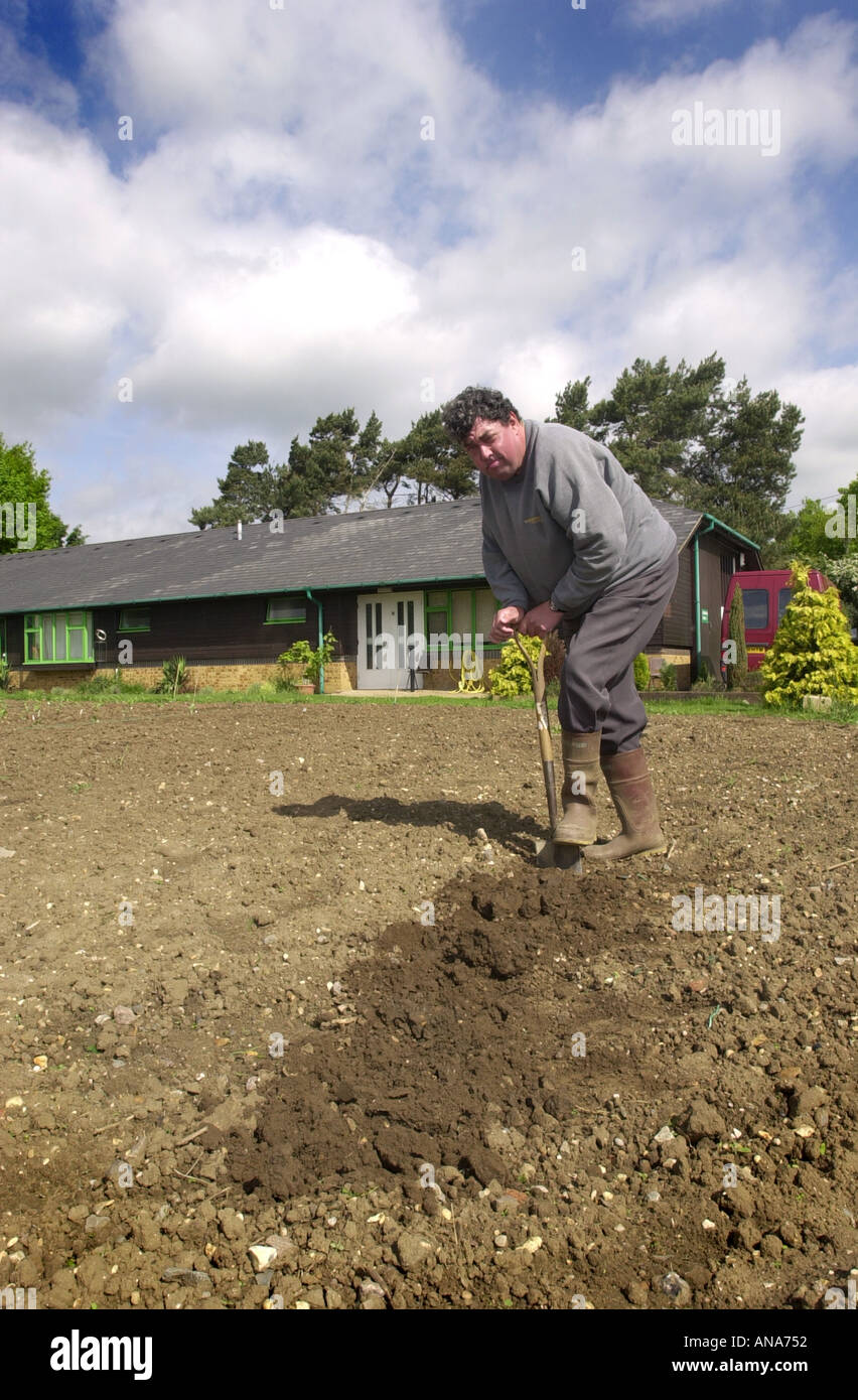 Man digging a large vegetable plot UK Stock Photo - Alamy