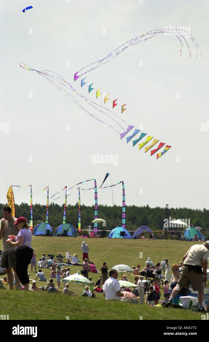 Kite festival at Dunstable Downs Bedfordshire UK Stock Photo - Alamy