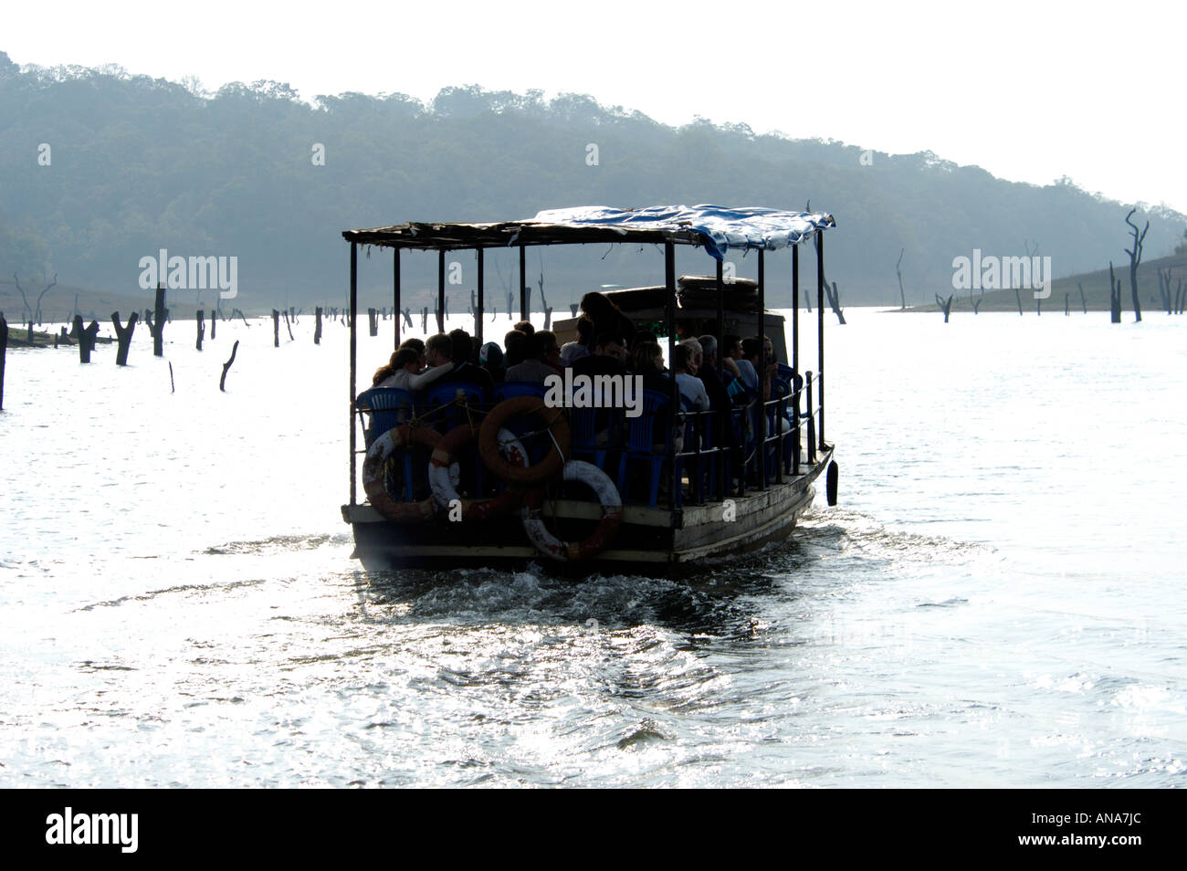 BOATING IN PERIYAR LAKE IN PERIYAR TIGER RESERVE, THEKKADY Stock Photo ...