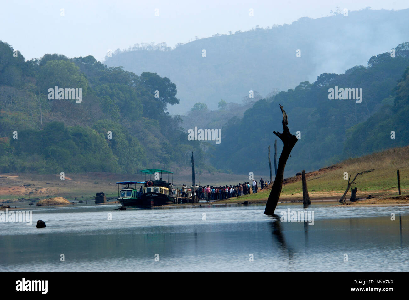 BOATING IN PERIYAR LAKE IN PERIYAR TIGER RESERVE, THEKKADY Stock Photo ...