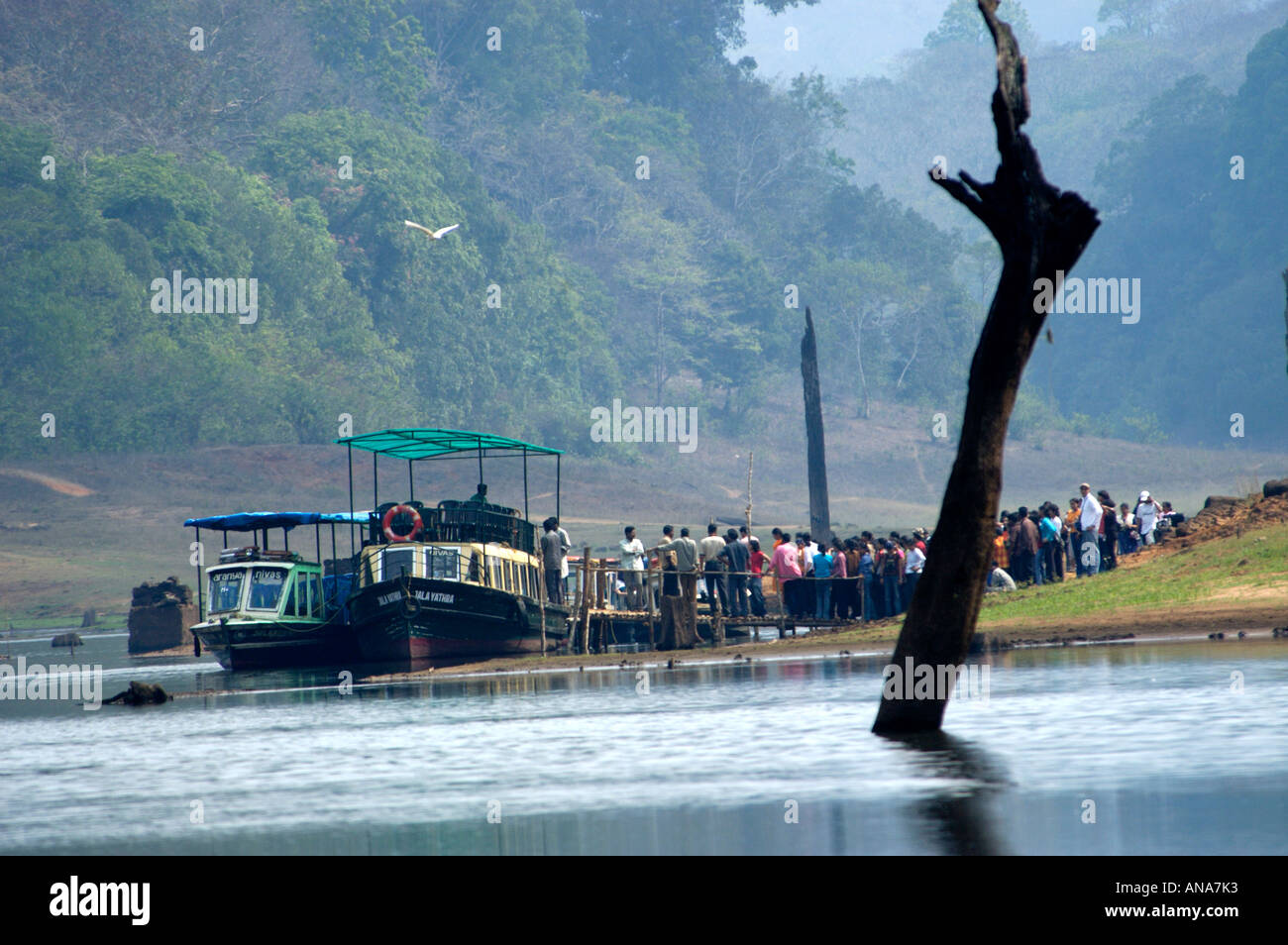BOATING IN PERIYAR LAKE IN PERIYAR TIGER RESERVE, THEKKADY Stock Photo ...