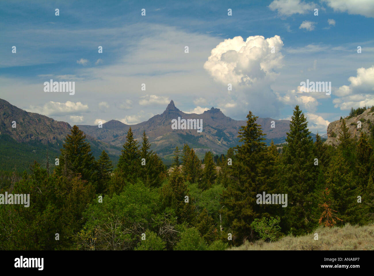 The View Towards Pilot Peak Mountain in Absaroka Range and Wilderness ...