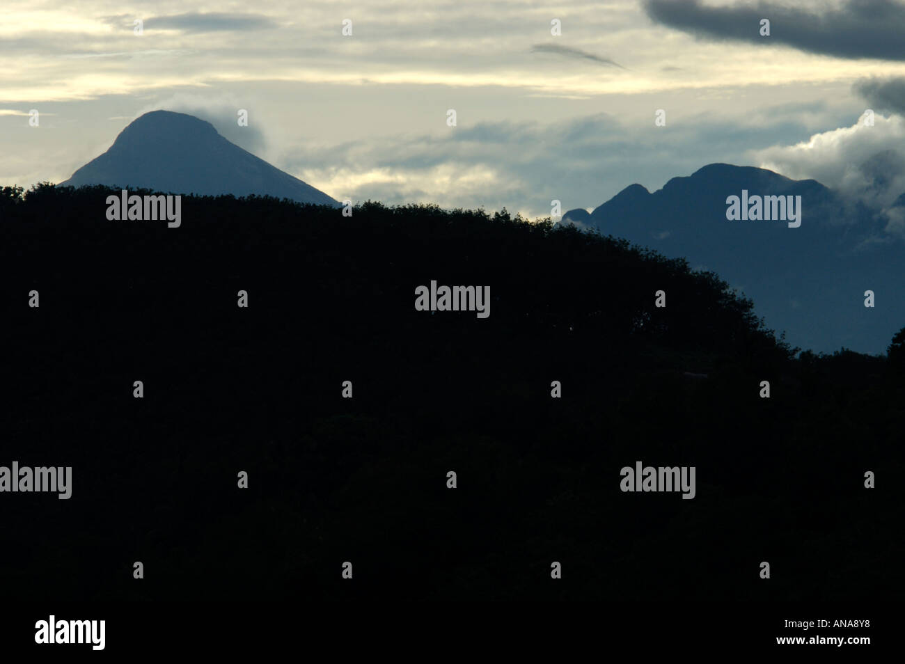 Agasthyamala biosphere reserve hi-res stock photography and images - Alamy