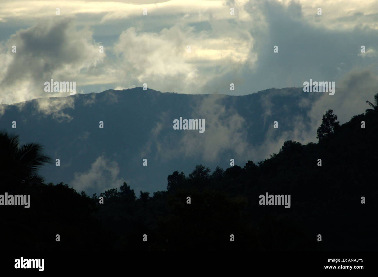 Agasthyamala biosphere reserve hi-res stock photography and images - Alamy