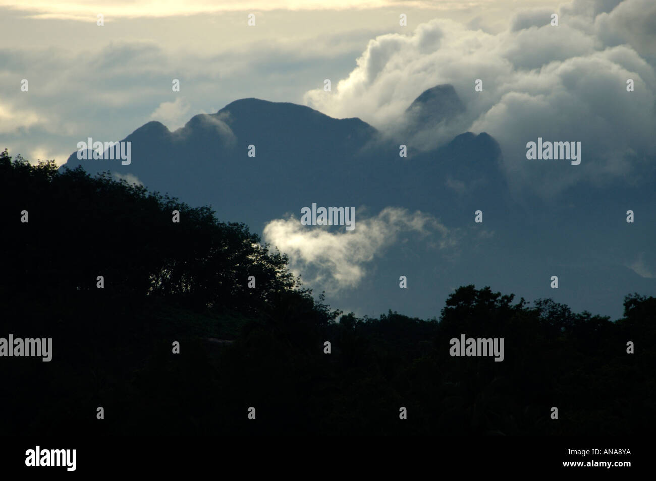 Agasthyamala biosphere reserve hi-res stock photography and images - Alamy