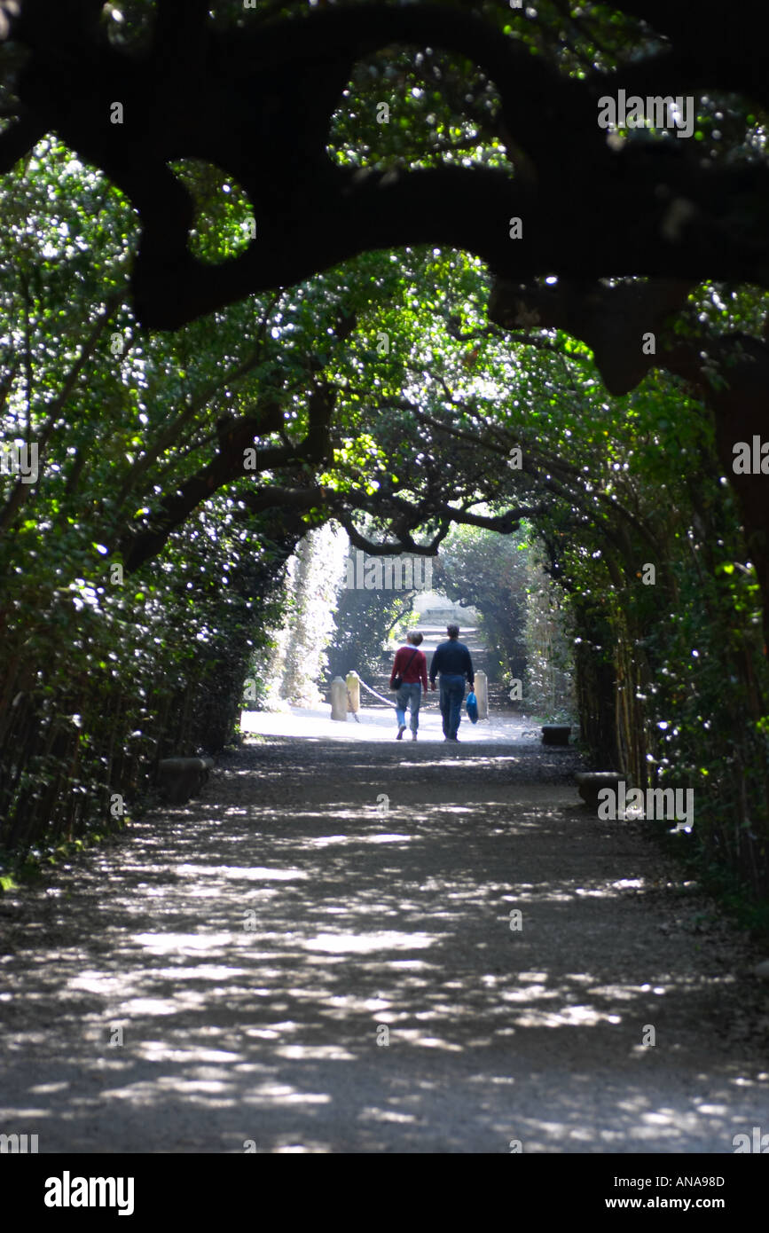 Tree lined pathway in the Boboli Gardens Florence Italy Stock Photo - Alamy