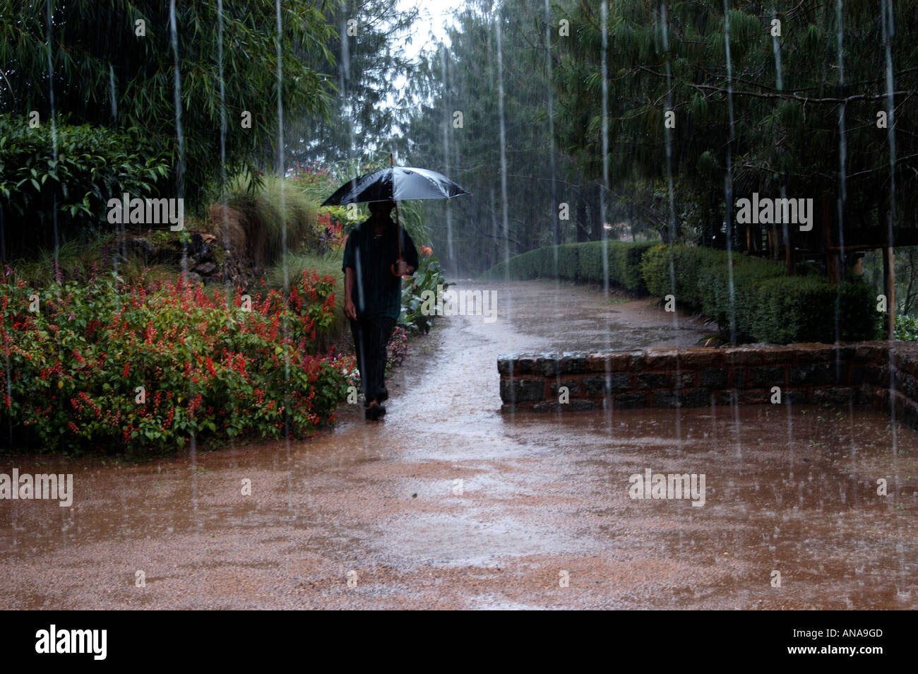 RAINS IN VAGAMON Stock Photo - Alamy