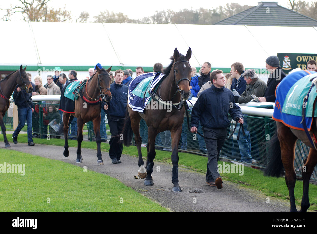 Racing horses parade ring hi-res stock photography and images - Alamy