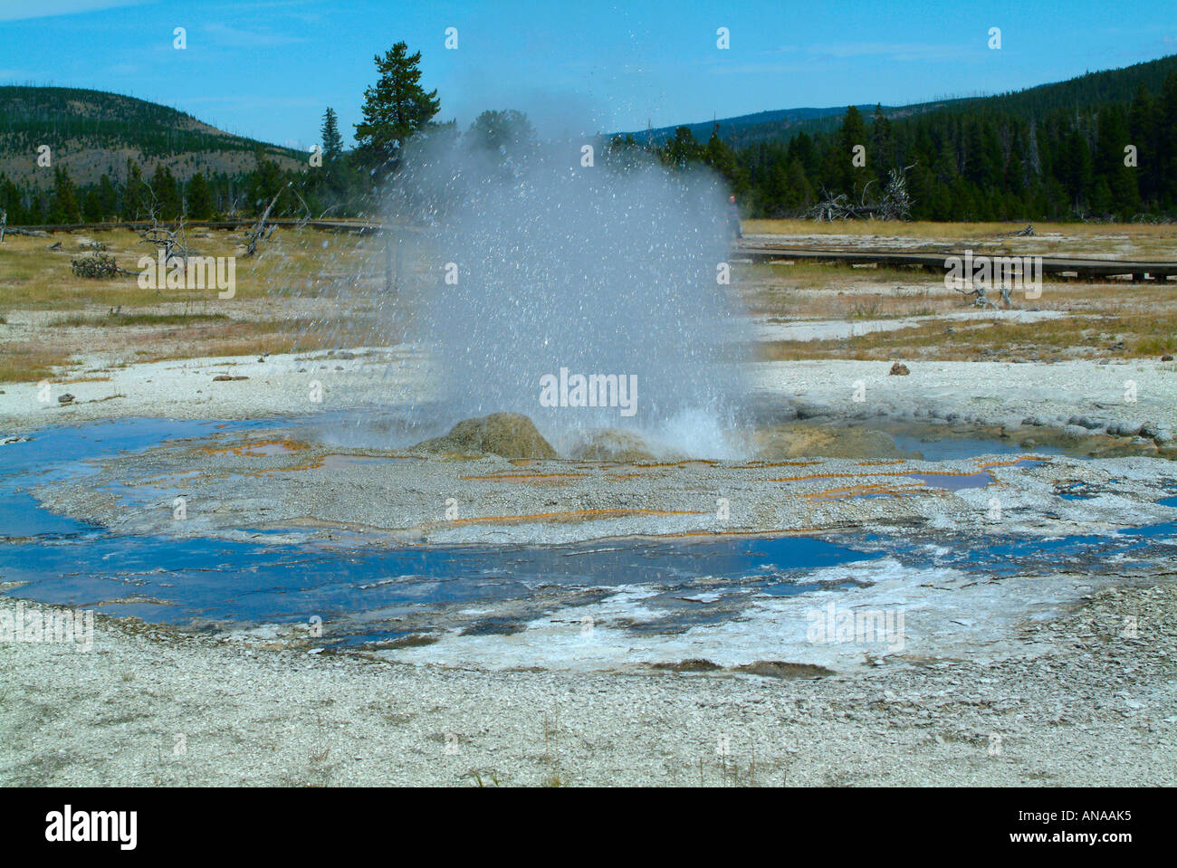 Steam buff hi-res stock photography and images - Alamy