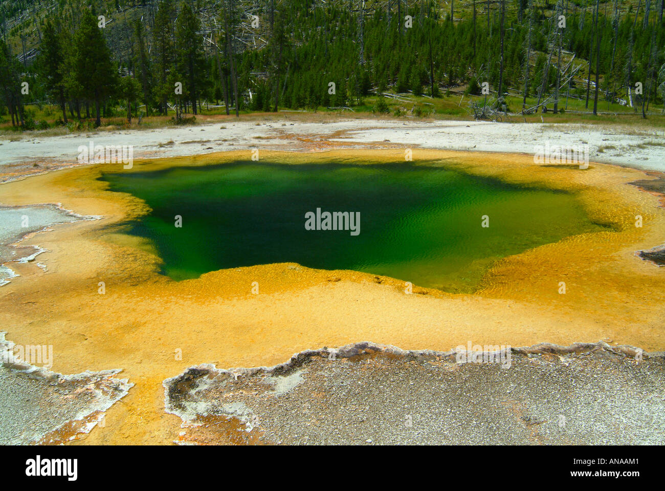 The Wonderful Emerald Pool at Midway Geyser Basin in Yellowstone ...