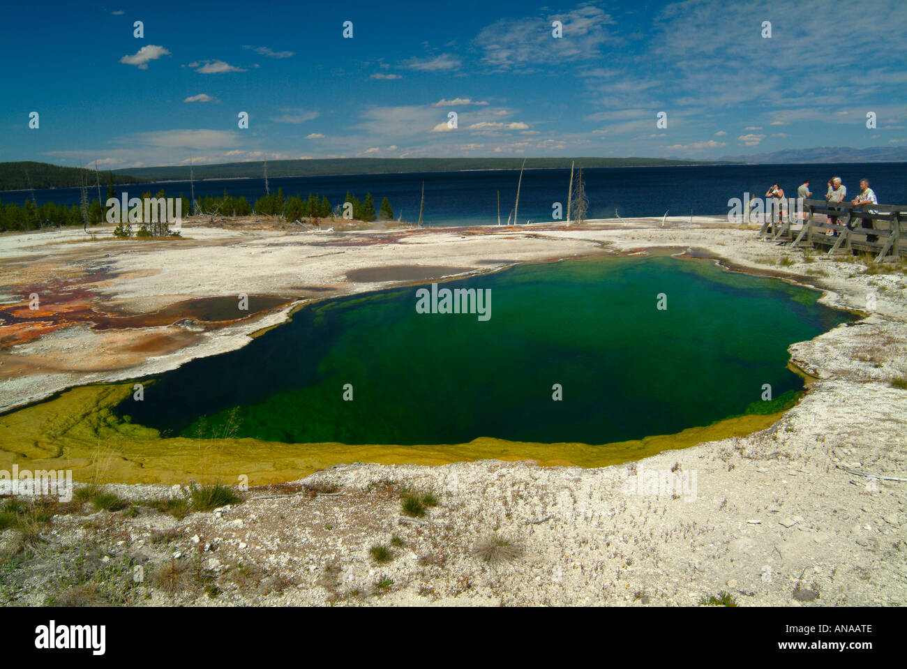 Abyss Pool Hot Spring with Yellowstone Lake in Background at West Thumb ...