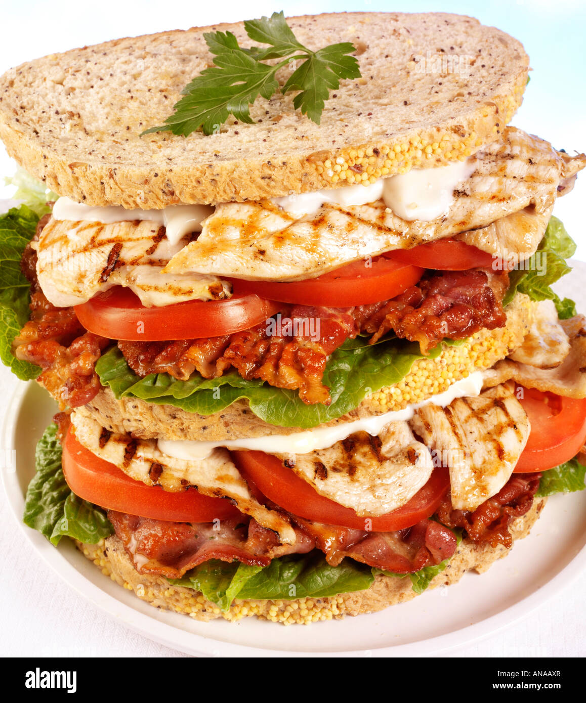 Chicken clubhouse sandwich hi-res stock photography and images - Alamy