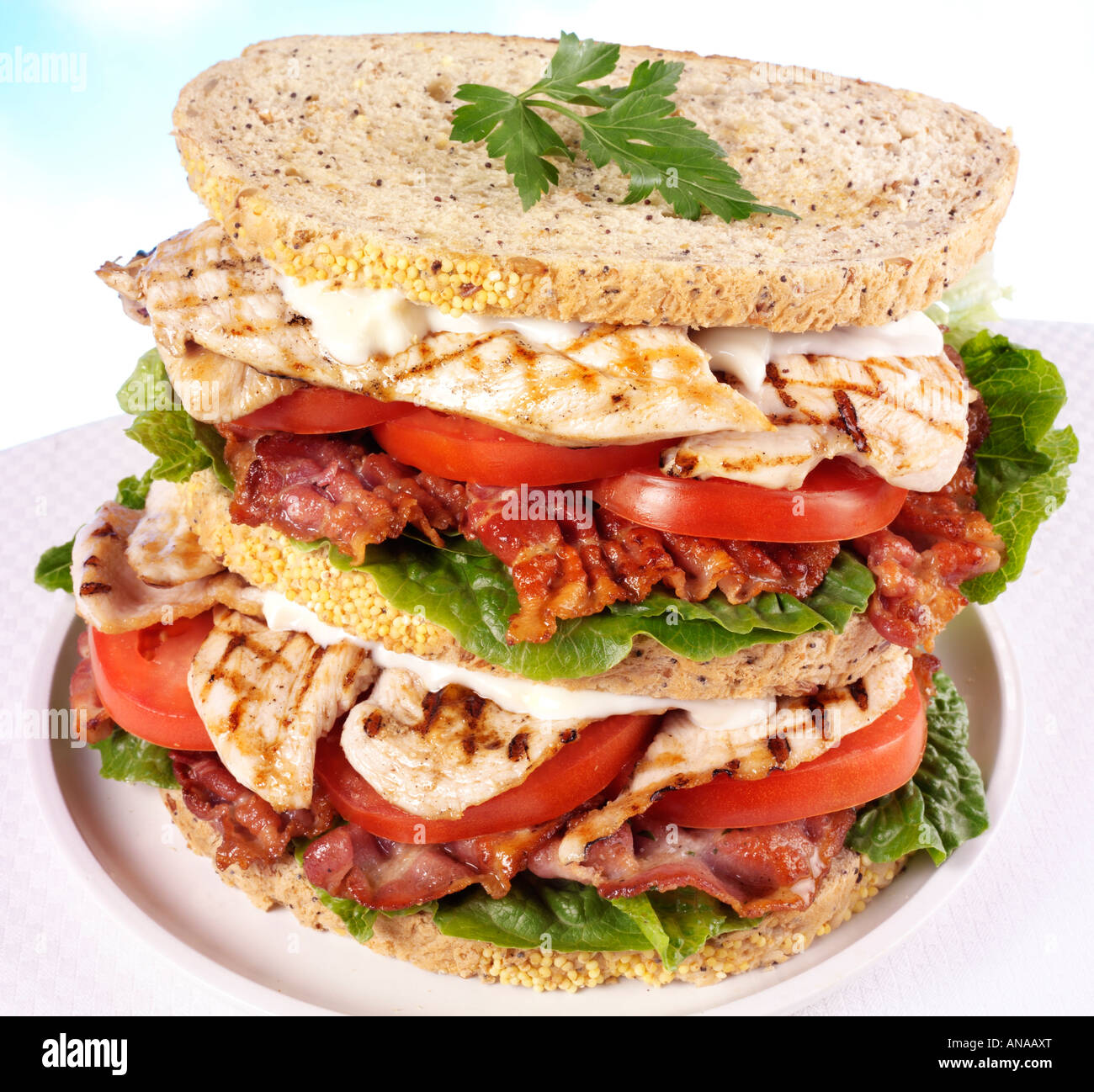 Chicken clubhouse sandwich hi-res stock photography and images - Alamy