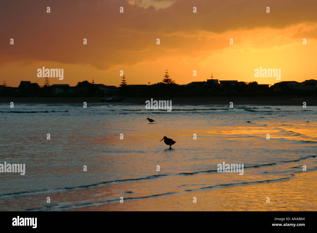 Sunset at Tokerau Beach Doubtless Bay North Island New Zealand Stock ...