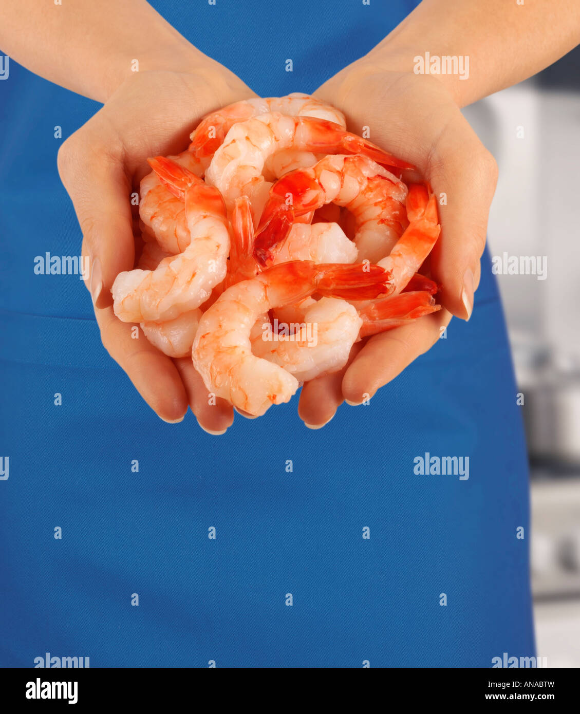 Female hand holding shrimp hi-res stock photography and images - Alamy