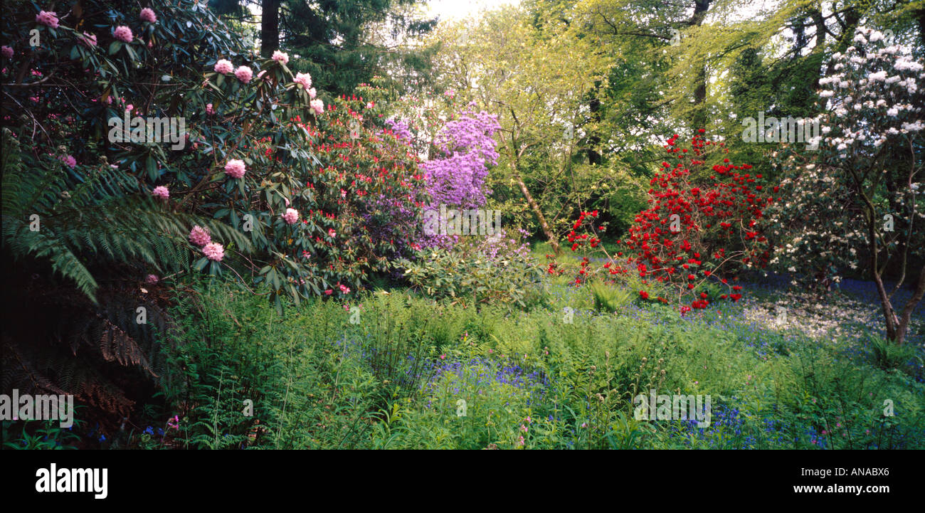 Spring Garden, Shrubs and Trees Stock Photo - Alamy
