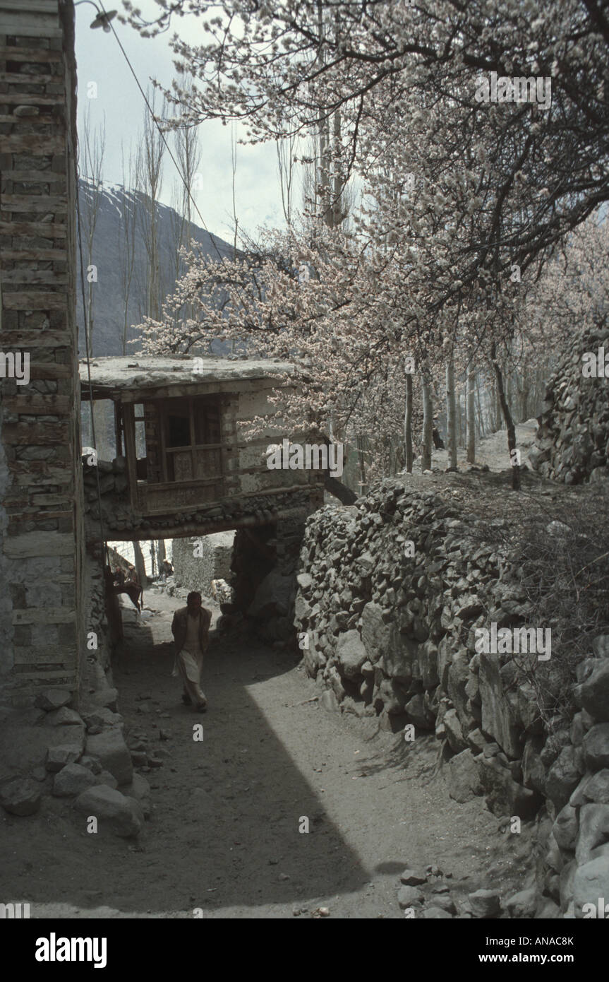 Pakistan Karimabad Hunza Village Stock Photo - Alamy