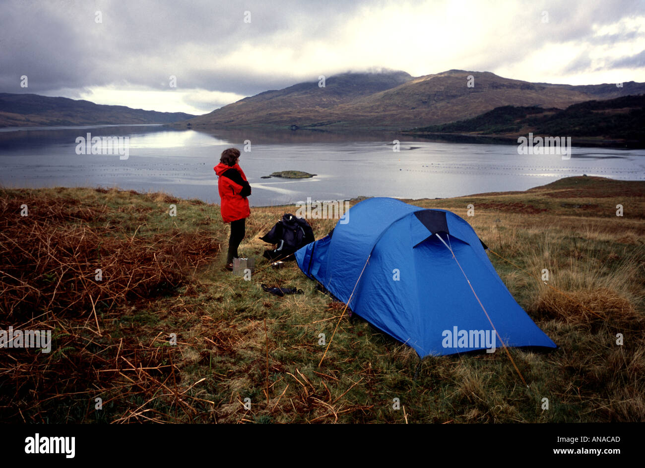 Lady isle scotland hi-res stock photography and images - Alamy