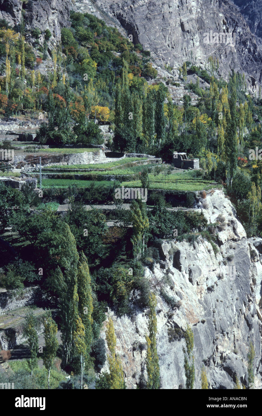 Pakistan Karimabad Hunza Village Scenery Stock Photo - Alamy