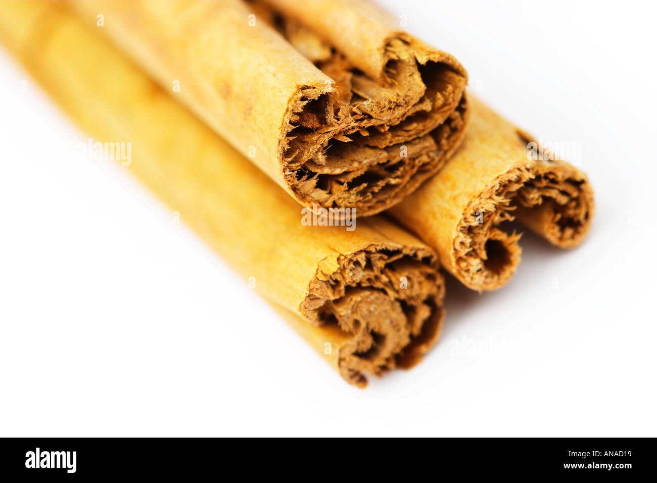 Three cinnamon sticks on high key white background Stock Photo - Alamy