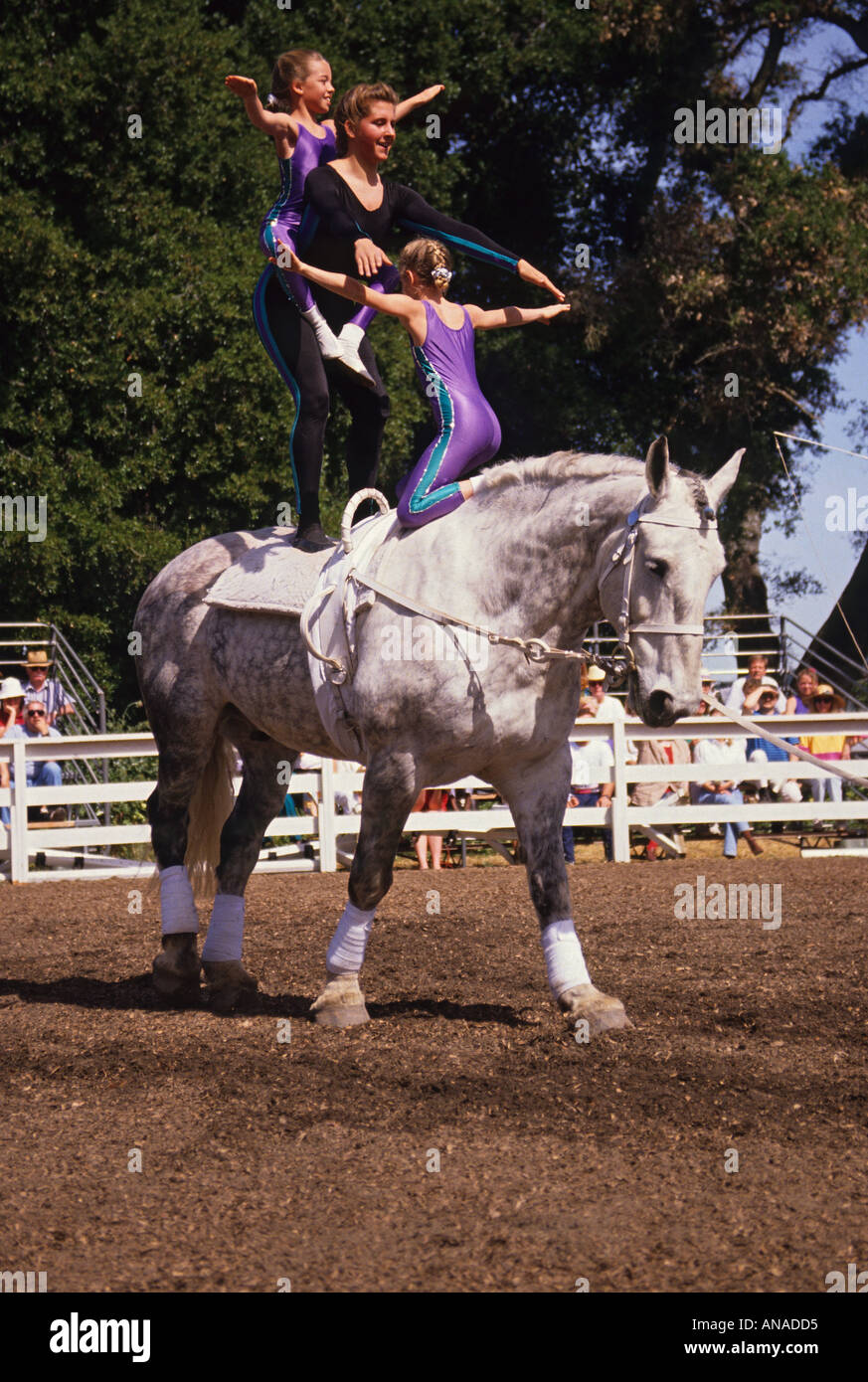 Horse acrobatics hi-res stock photography and images - Alamy