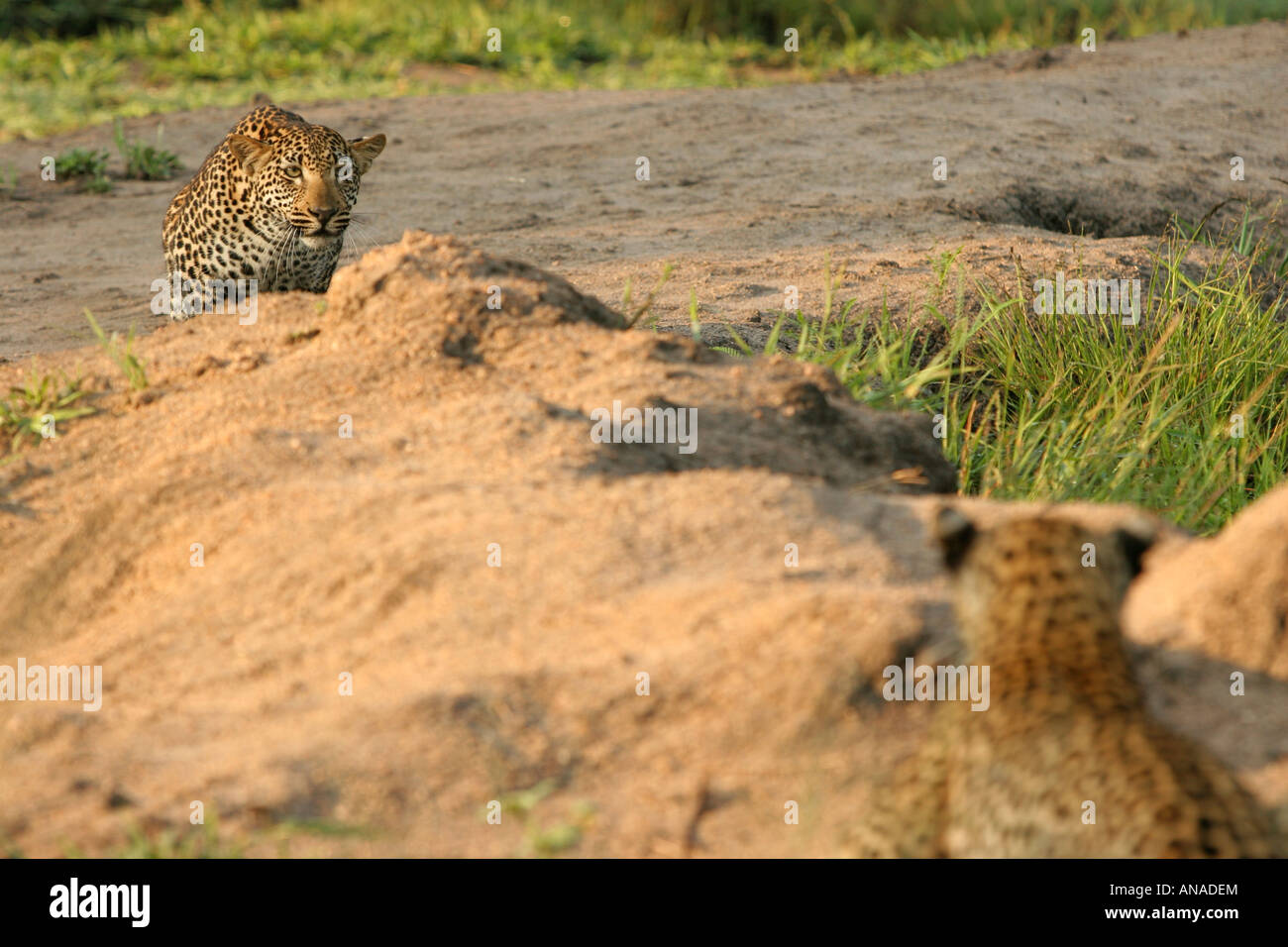 African youngsters at play hi-res stock photography and images - Alamy