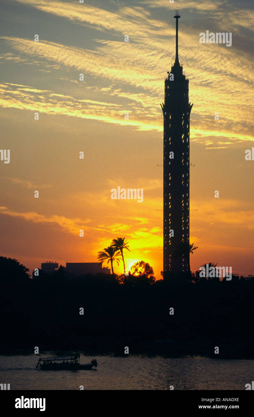 Trees in cairo hi-res stock photography and images - Alamy