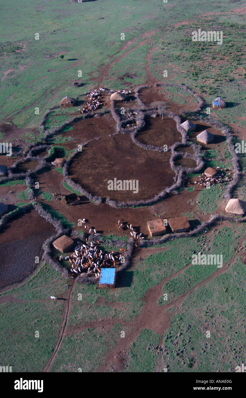 Aerial view of Maasai manyatta with cattle Stock Photo - Alamy