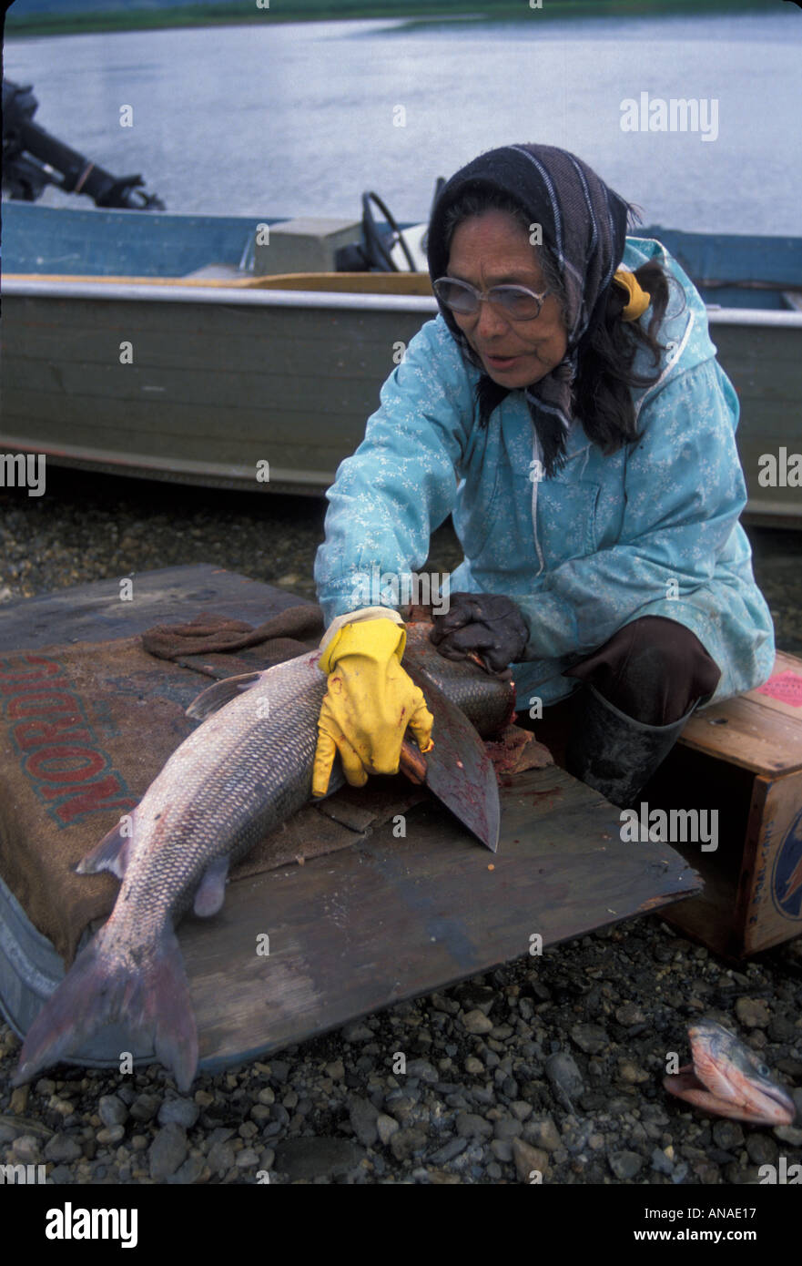 Inupiat fish hi-res stock photography and images - Alamy