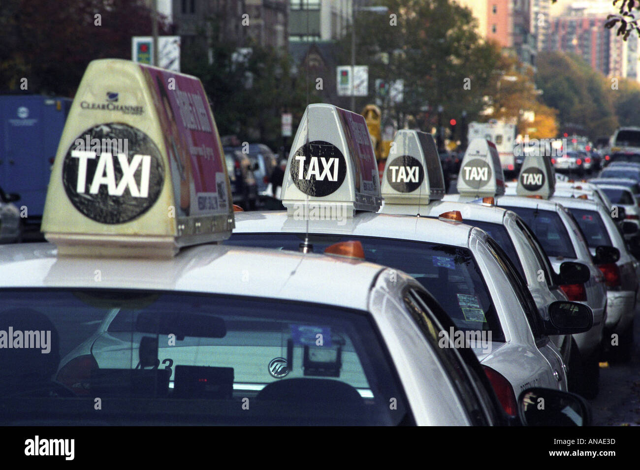 Taxi cabs line up on Boylston Street in Boston Massachusetts Stock ...