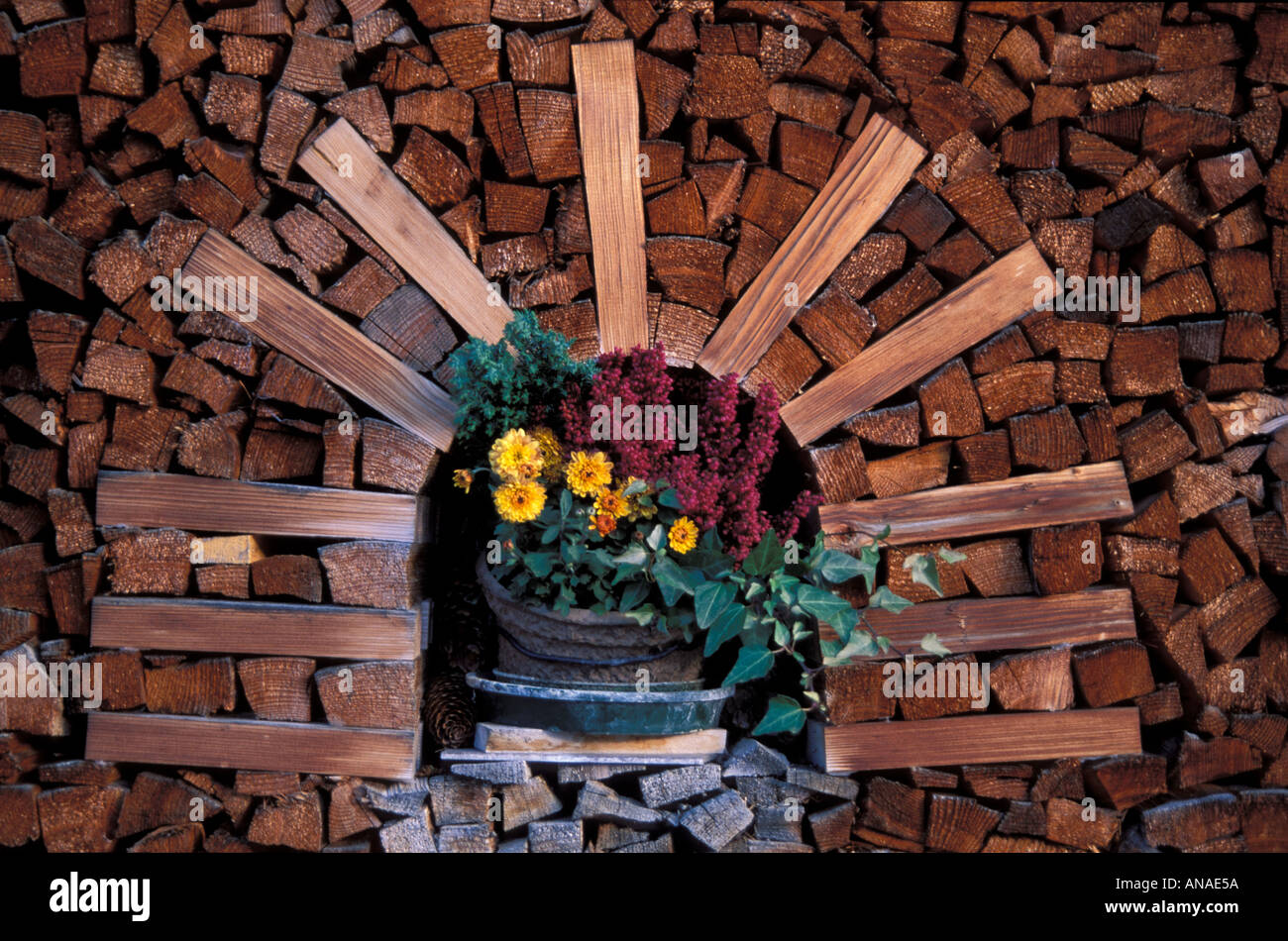 Firewood stacked with flower pot in center Town Wengen Bernese Alps ...
