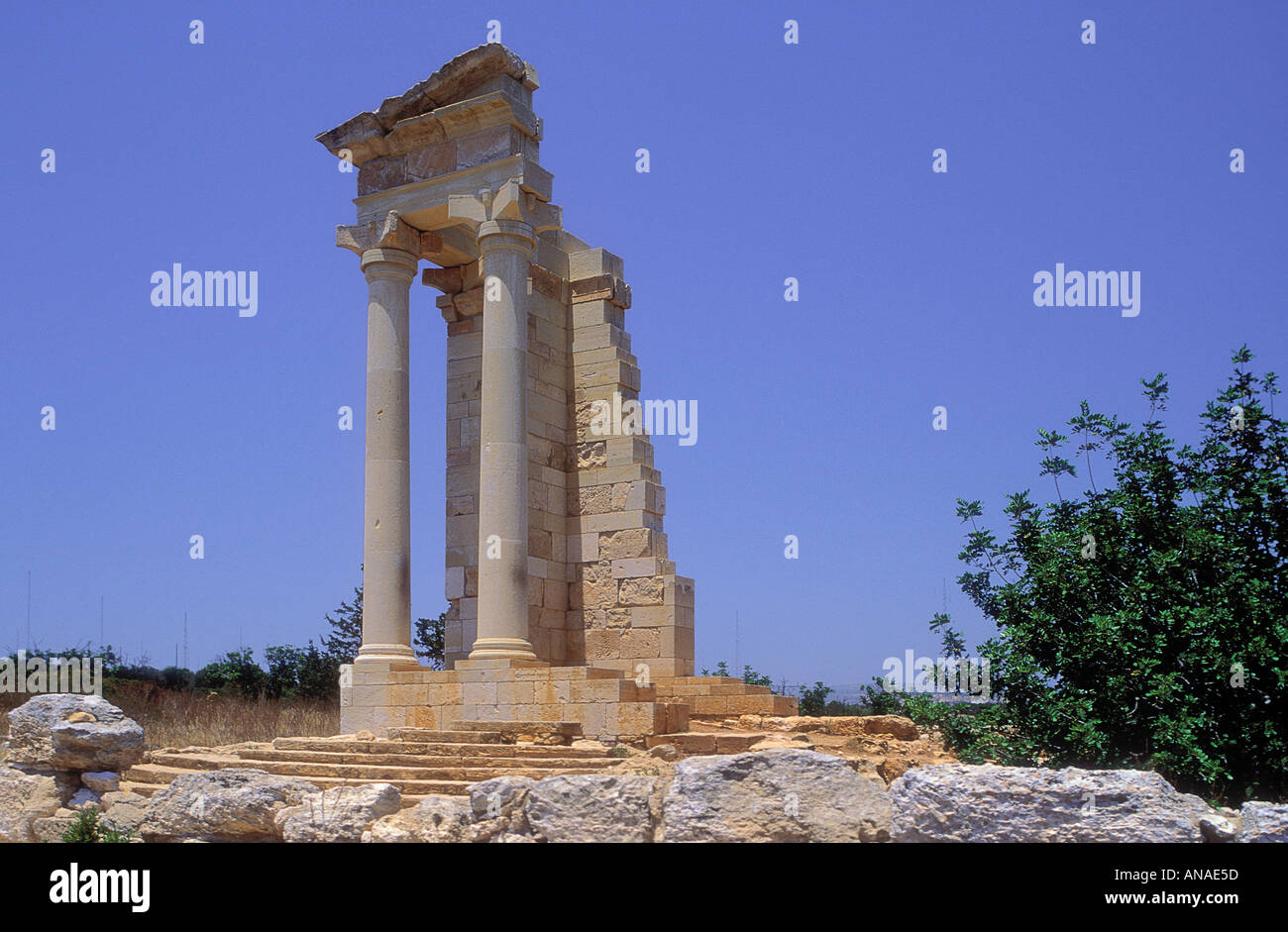 Apollos temple hi-res stock photography and images - Alamy