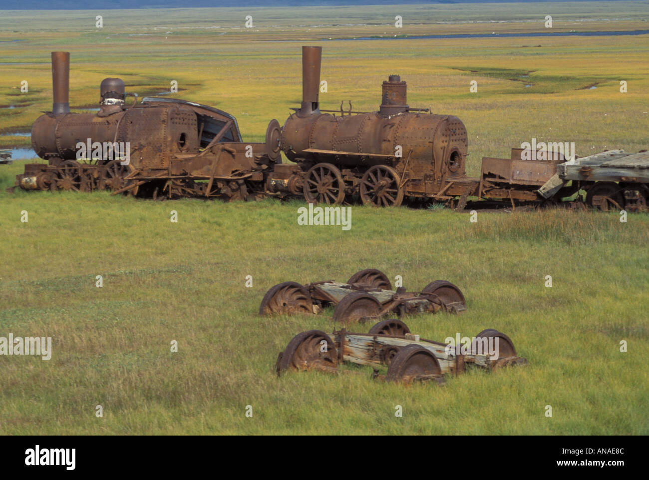 Rusting Last train to nowhere in swamp at Solomon goldrushtime near ...