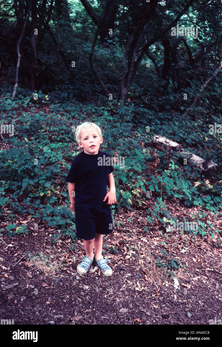 Small blond boy standing in front of a wood in dark coloured clothes ...