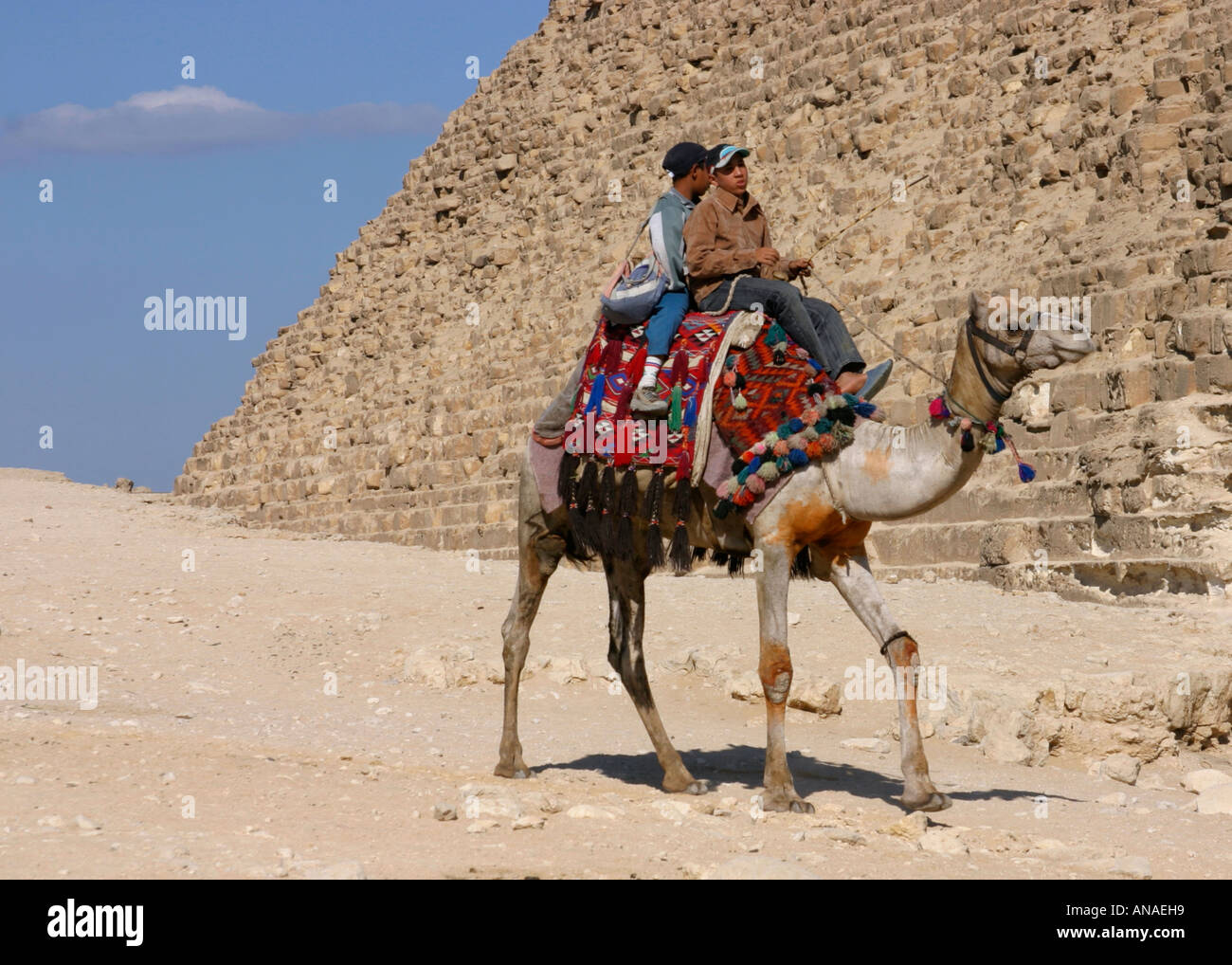 Egyptian boys riding on camel, pyramids, Cairo, Egypt Stock Photo - Alamy