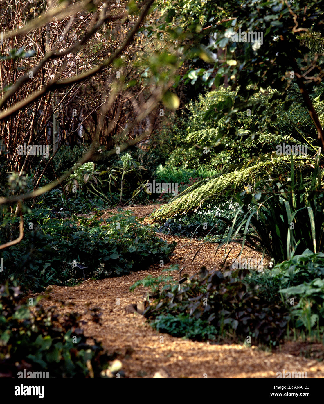 winding garden path passing through the unknown wild managed plant beds ...