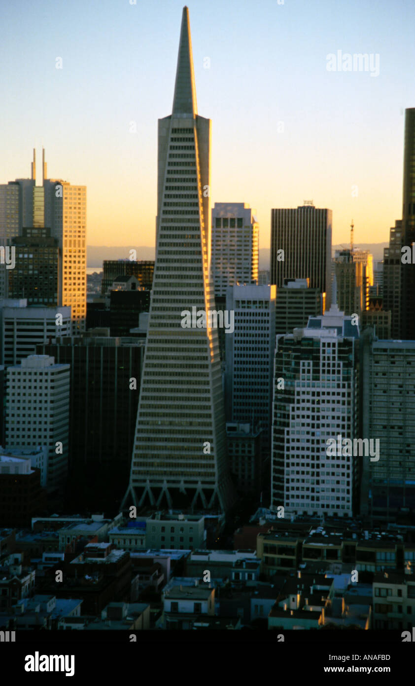 View of financial district and the Trans America building, San ...