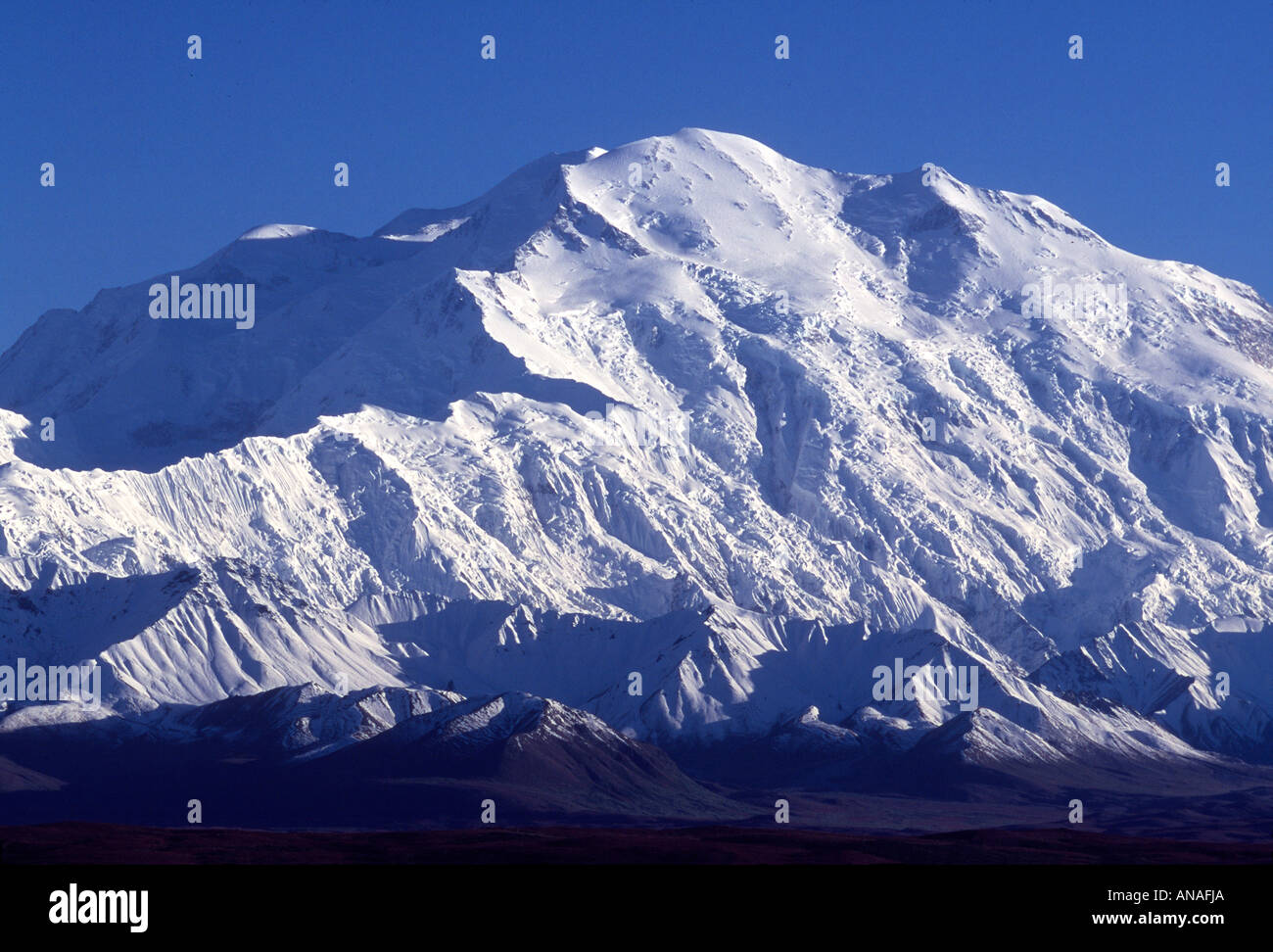Denali ( Mt.McKinley ), Denali National Park, Alaska Stock Photo - Alamy