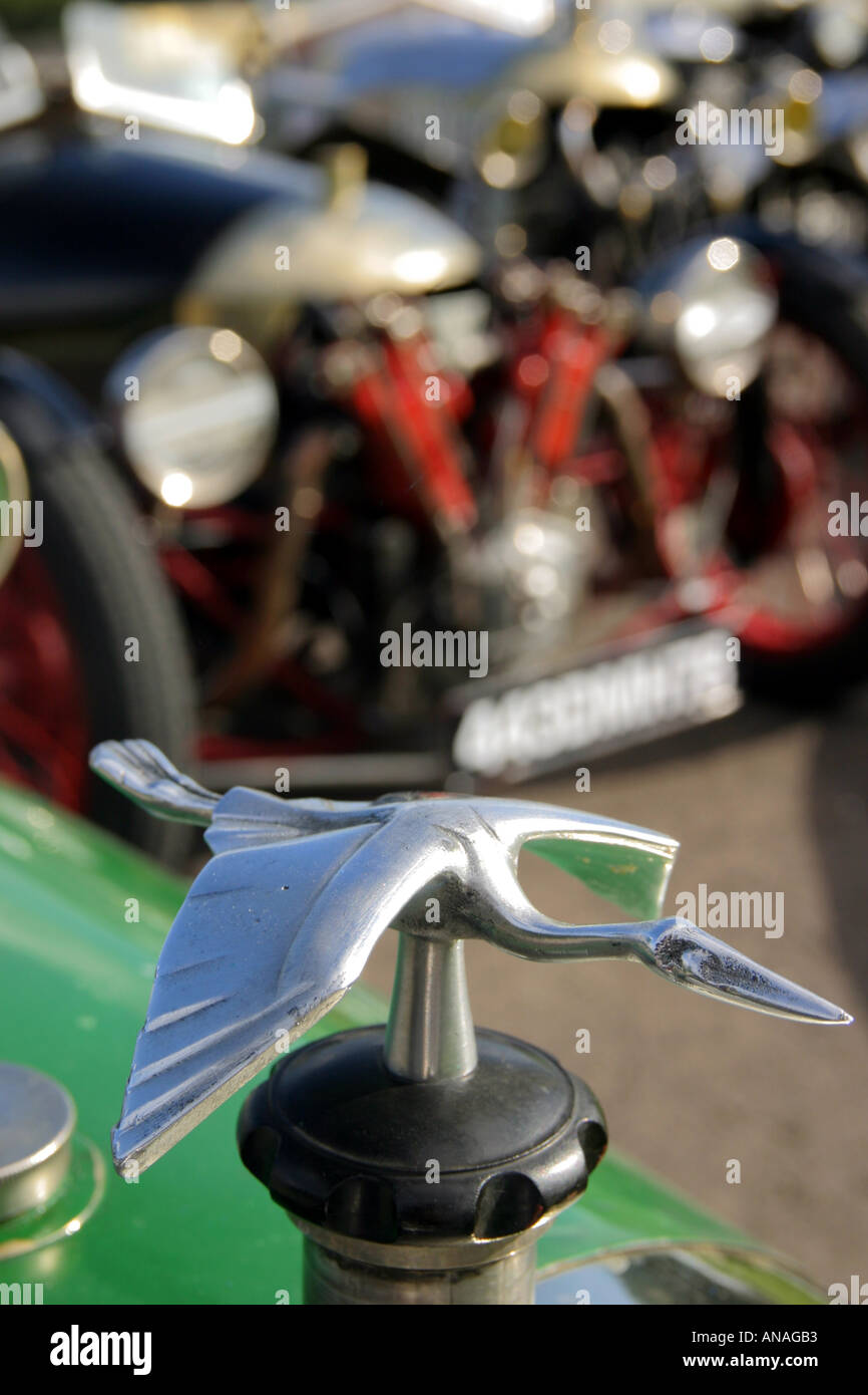 Stork club hi-res stock photography and images - Alamy