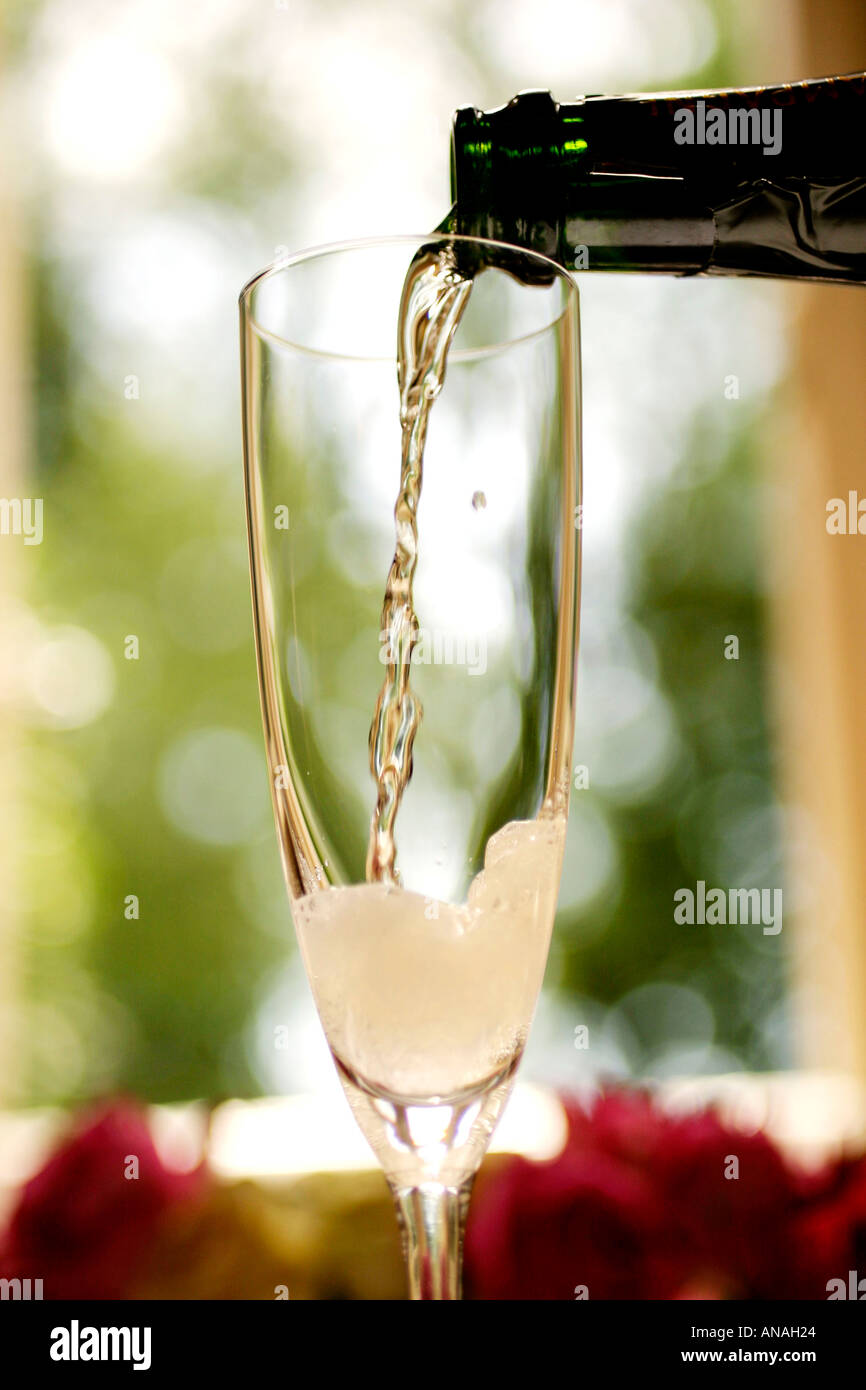 Glass of Champagne Park House Club Park Place Cardiff City Centre South ...