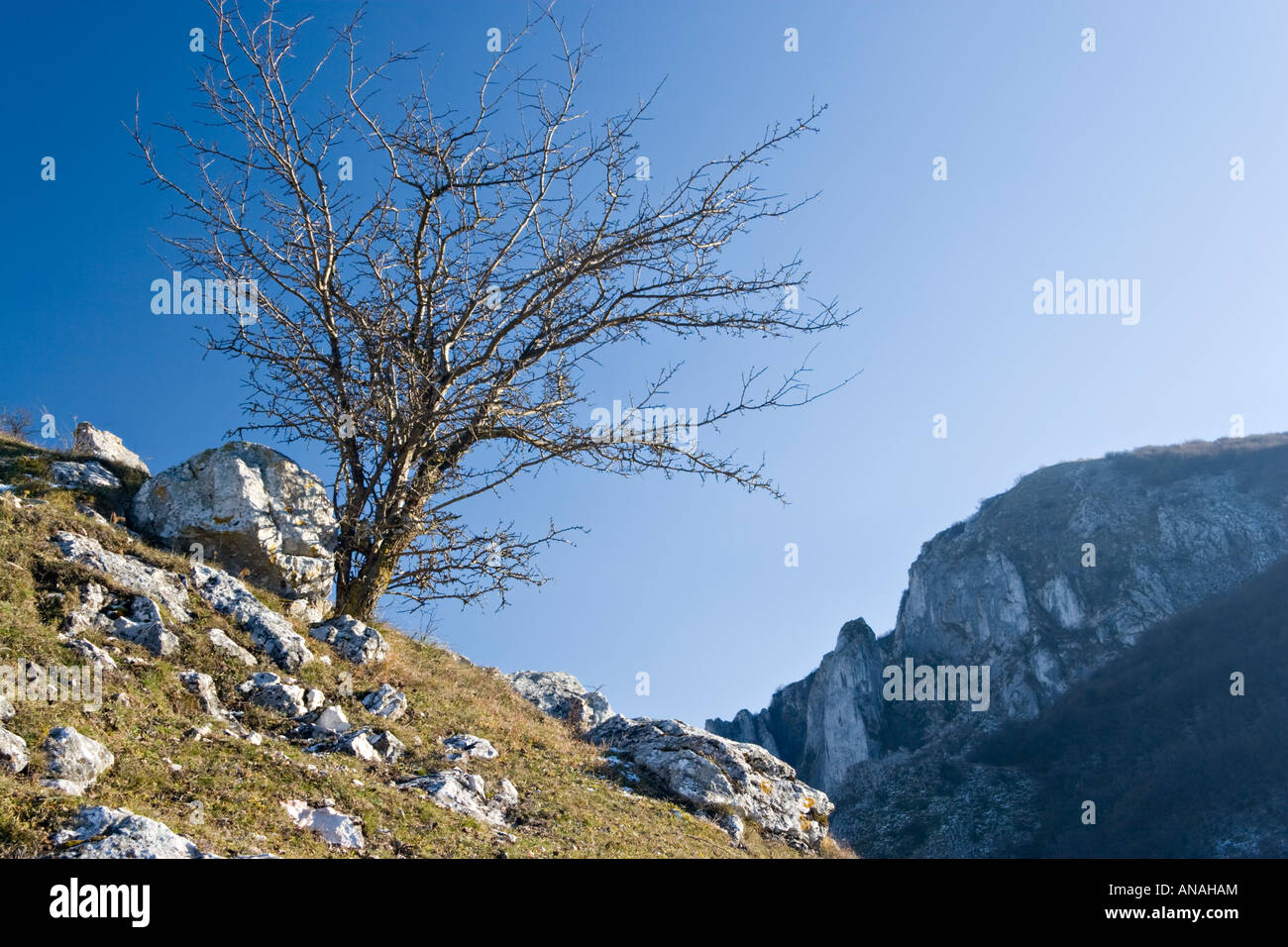 Turda Gorge Nature Reserve Stock Photo - Alamy
