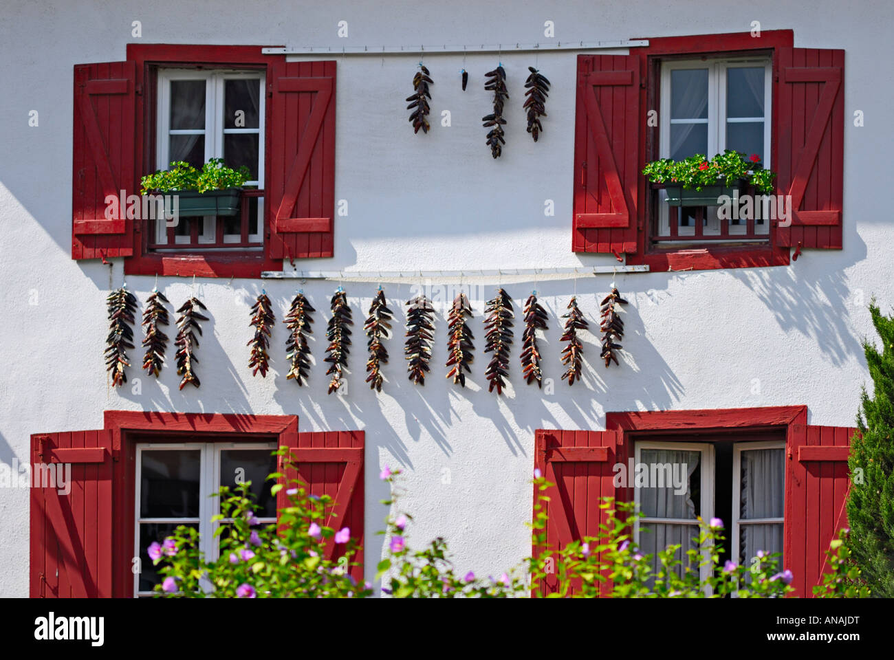 Piment chilli house hi-res stock photography and images - Alamy