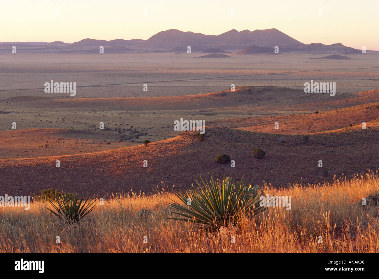 Texas marfa desert hi-res stock photography and images - Alamy