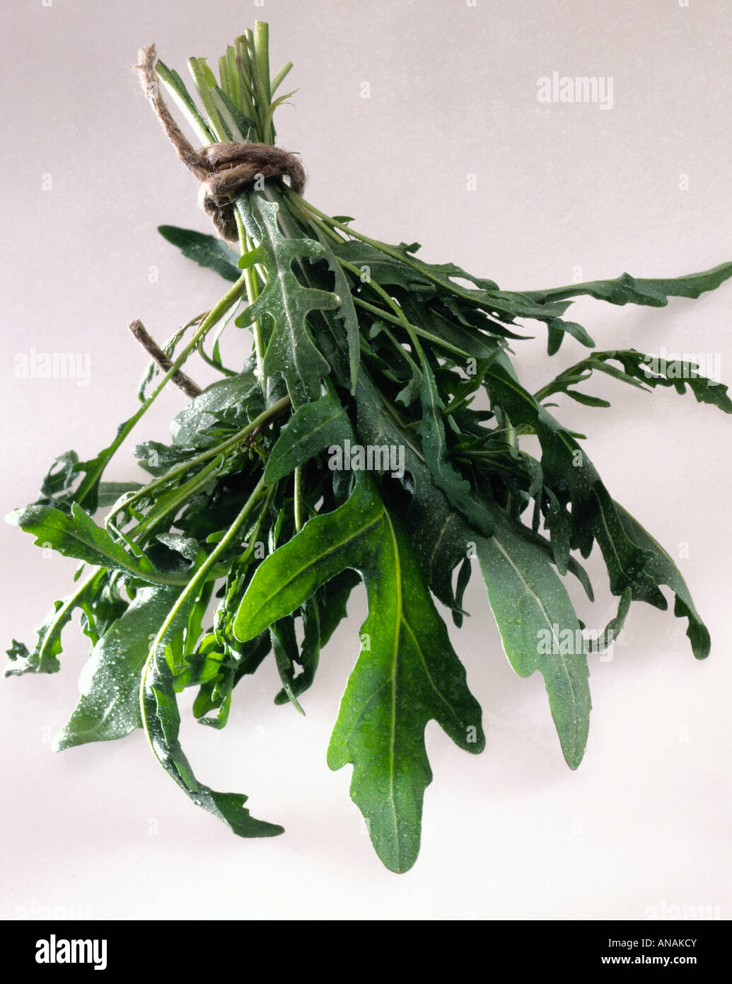 rocket sallad (Eruca sativa), bunch of rocket salad Stock Photo - Alamy